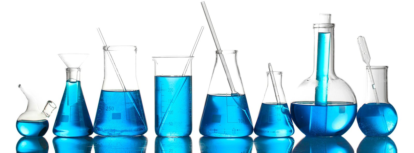 Biomáxima: El servicio de asesoría biotecnológica único en España